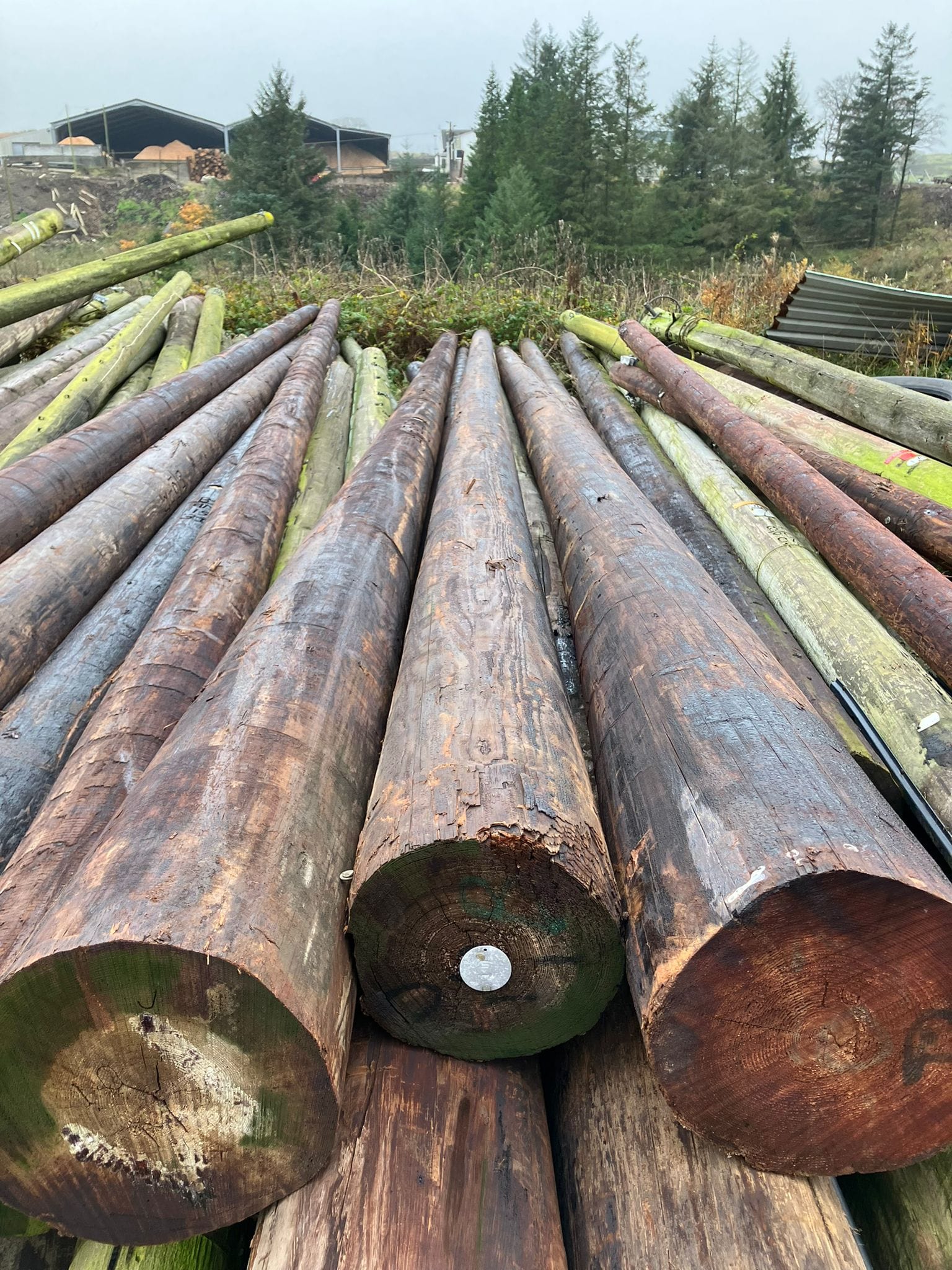 Reclaimed BT Telegraph pole Full Length, 24 ft — Alter Supplies