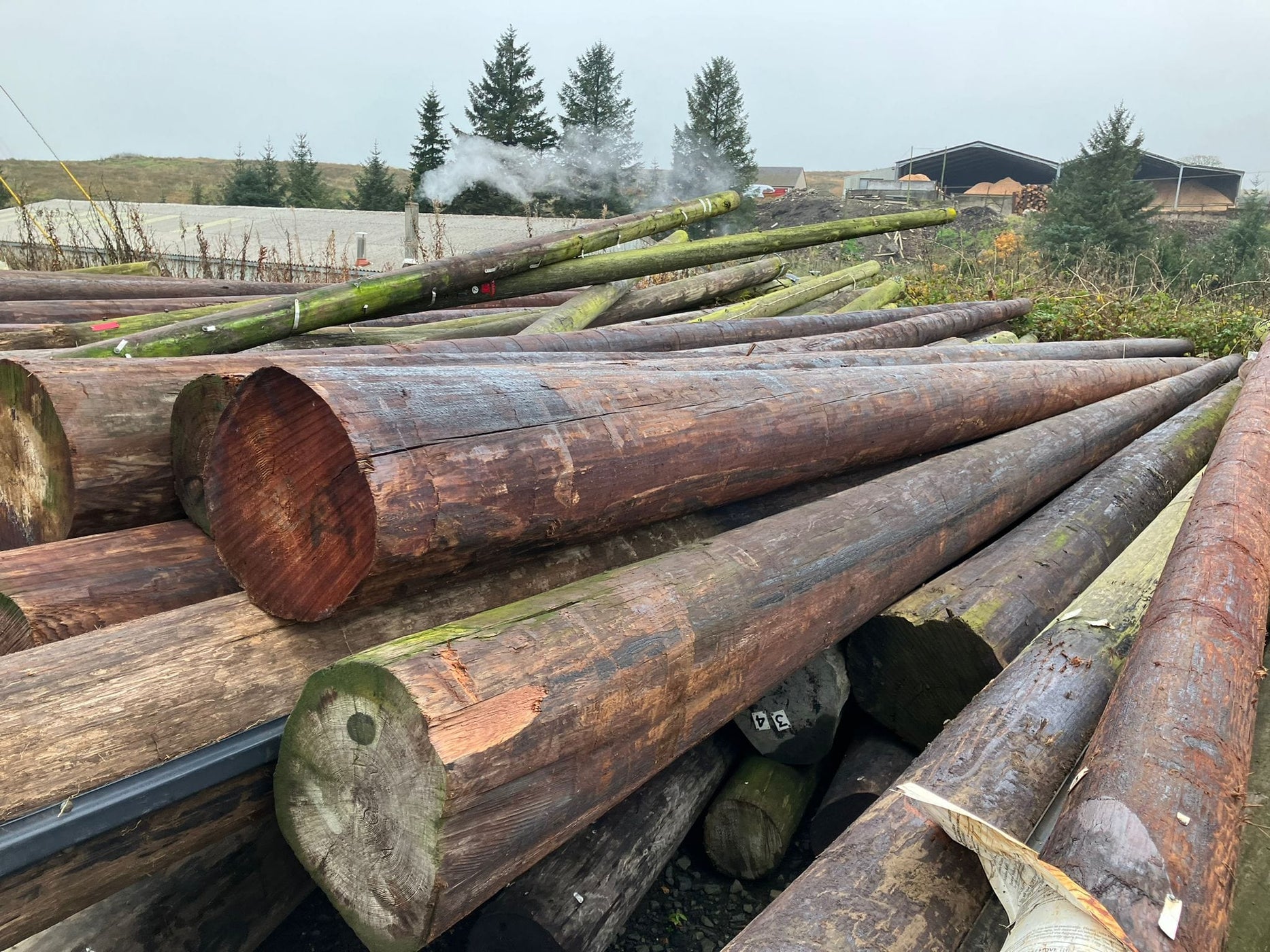 Reclaimed BT Telegraph pole Full Length, 24 ft — Alter Supplies